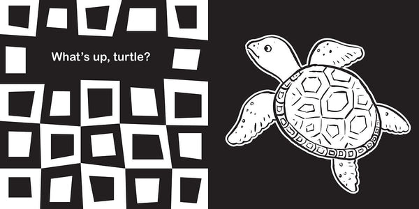 Hello, Ocean Friends: A High-Contrast Board Book - Momease Baby Boutique